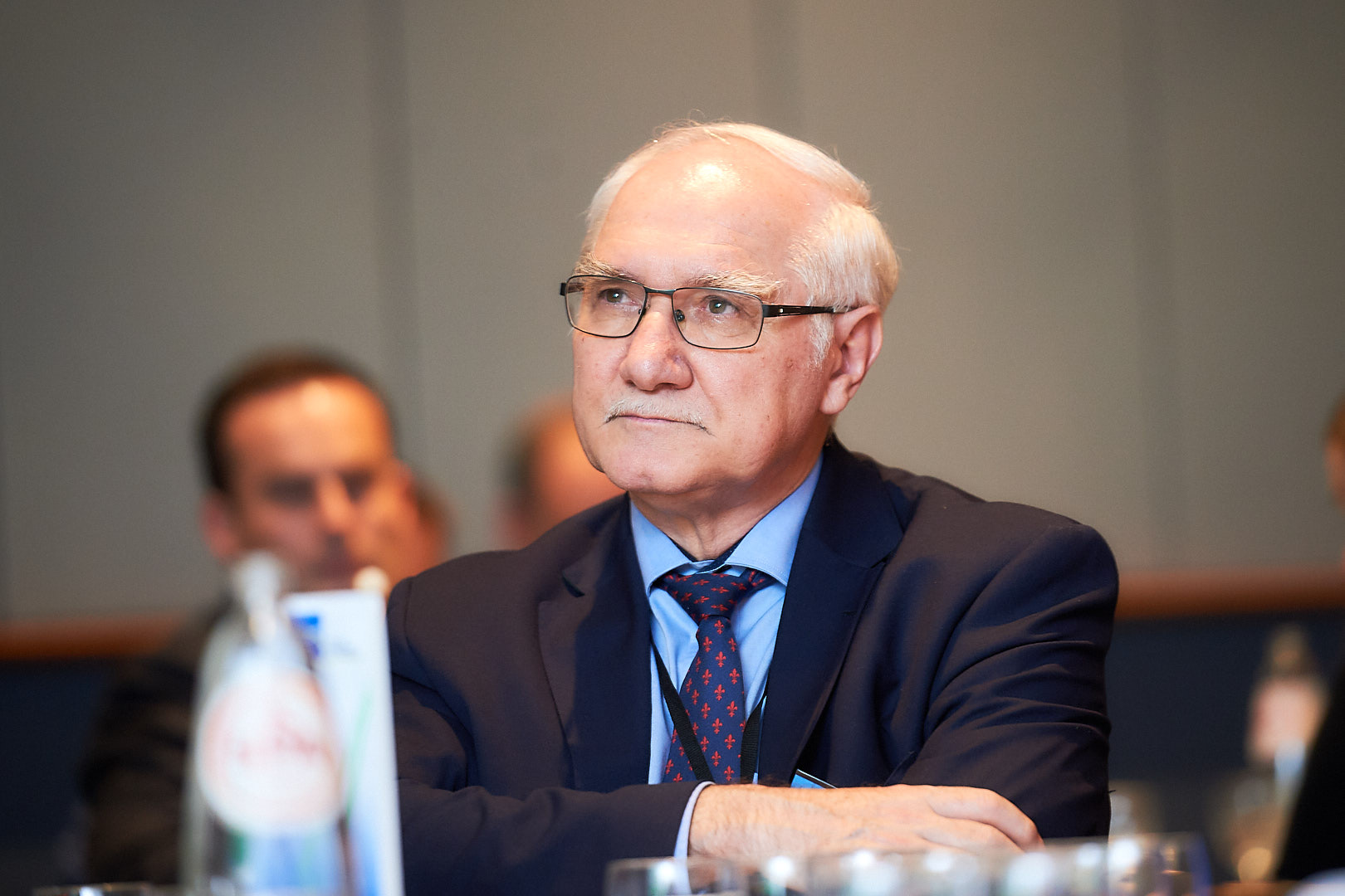 sabine augustin chair of eurogas strategy committee interventions alain ...