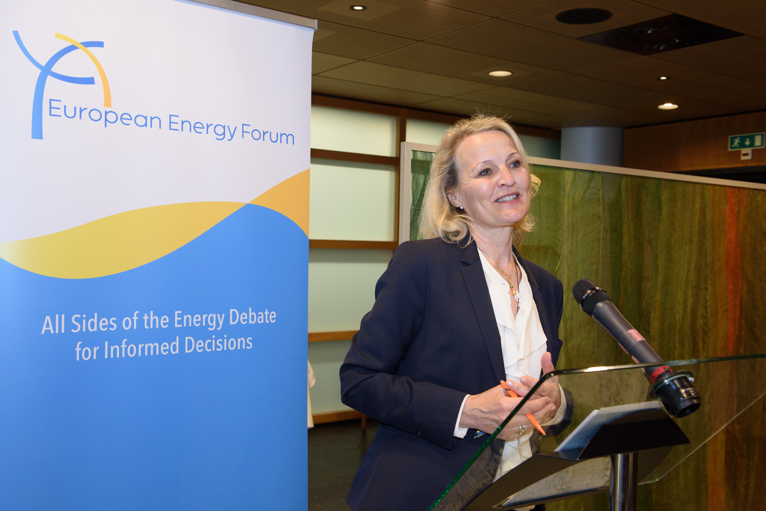 Chaired by Jerzy Buzek MEP , President of the EEF